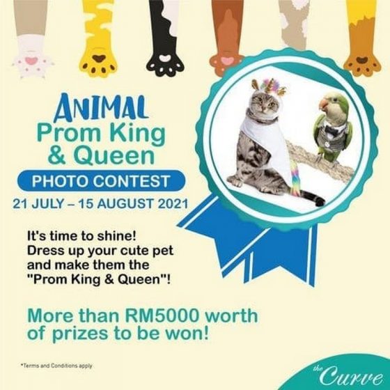 21 Jul-15 Aug 2021: The Curve Animal Prom King & Queen Contest ...