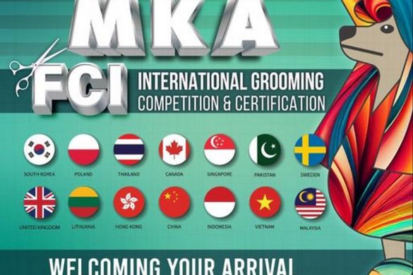 grooming competition Archives - EverydayOnSales.com