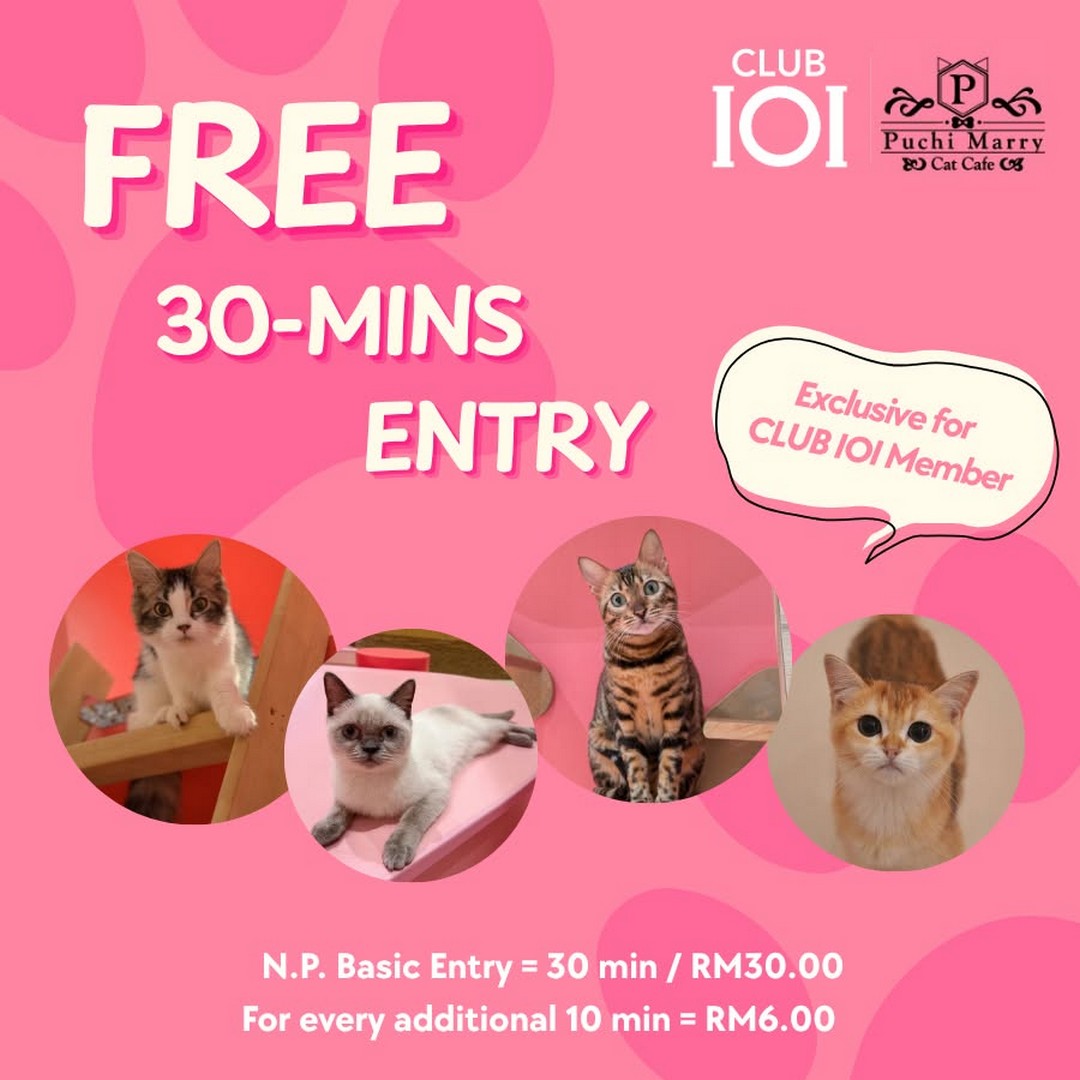 28 July 2025 onwards: IOI City Mall – Free 30-Minute Entry to Puchi ...