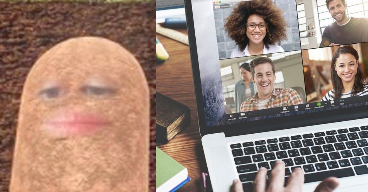 Be Careful When Video Conference. Boss Accidentally Becomes Potato During Video Meeting - And ...