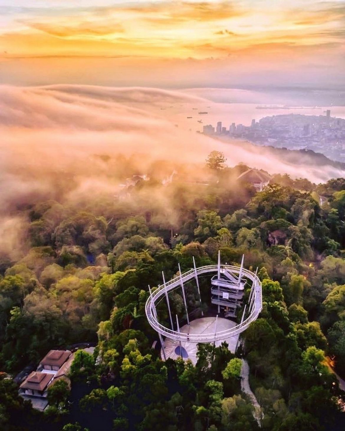 Escape To a Beautiful 130-Millions Years Old Malaysian Rainforest For ...