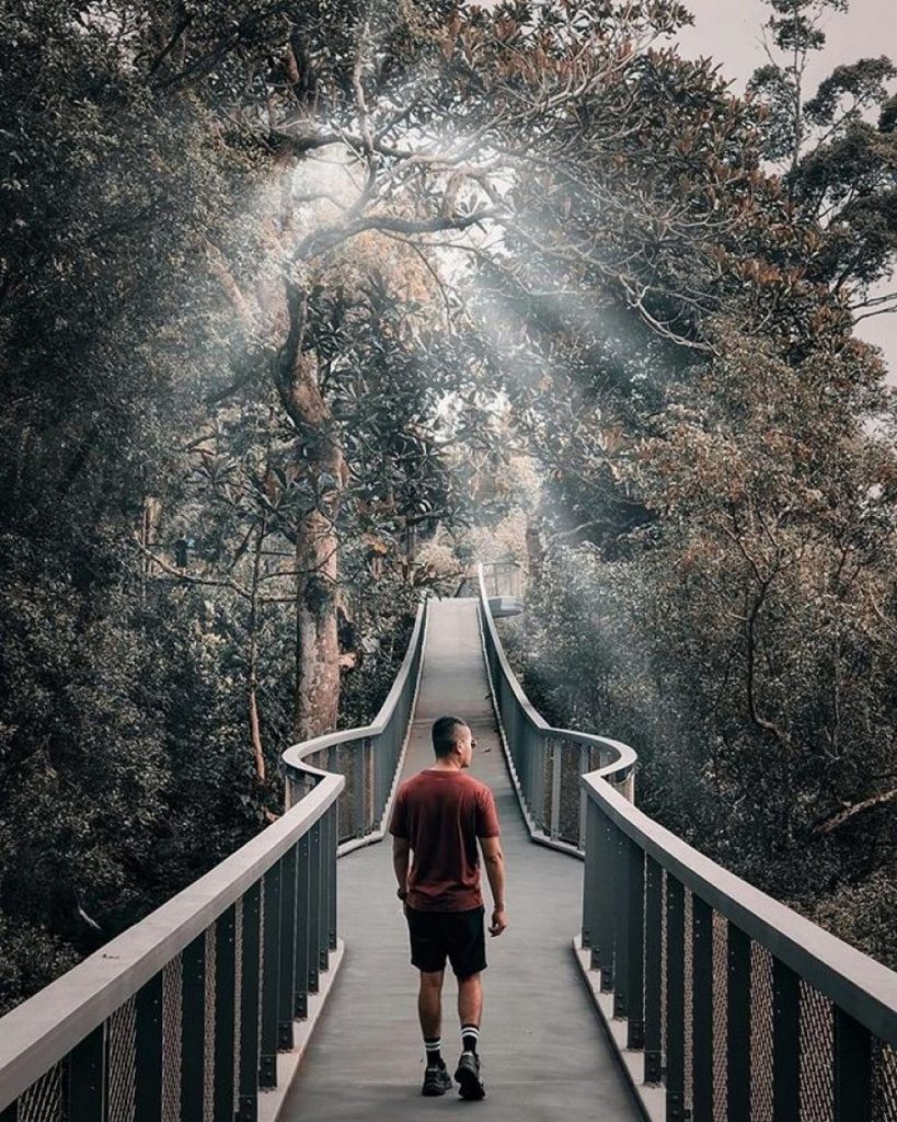 Beautiful FlyOver Bridge In Malaysia Which Give You A Feeling You Are ...