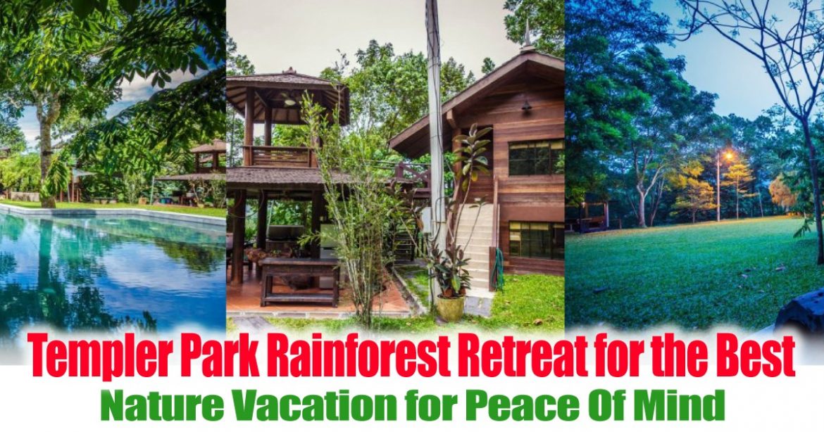 Templer Park Rainforest Retreat for the Best Nature Vacation for Peace ...