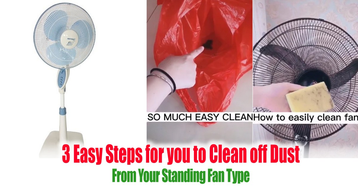 3 Easy Steps for you to Clean off Dust From Your Standing Fan Type ...