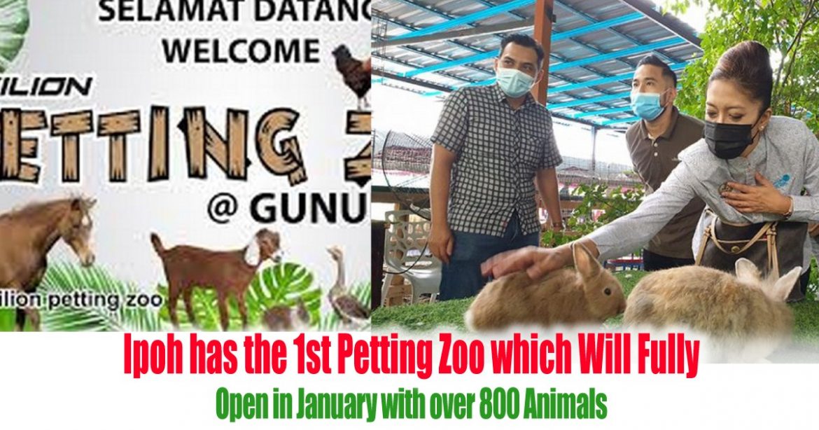 Ipoh has the 1st Petting Zoo which Will Fully Open in January with over ...