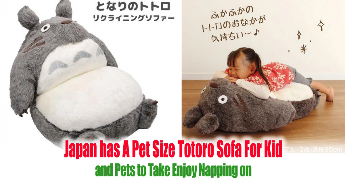 Japan has A Pet Size Totoro Sofa For Kid and Pets to Take Enjoy Napping ...