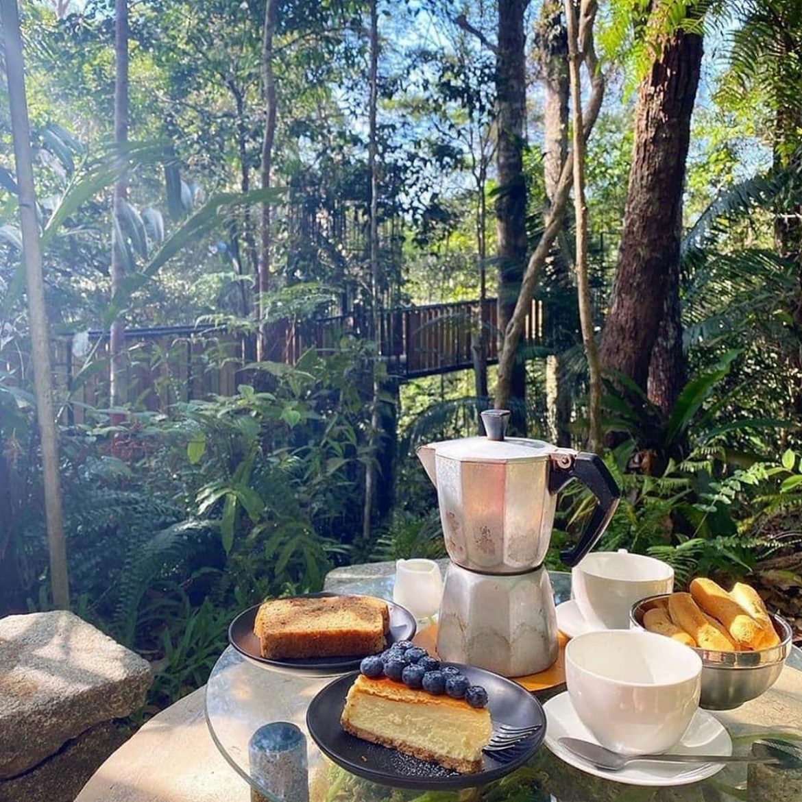 Cafés and Restaurant in Penang with Incredible View of Rainforest and ...