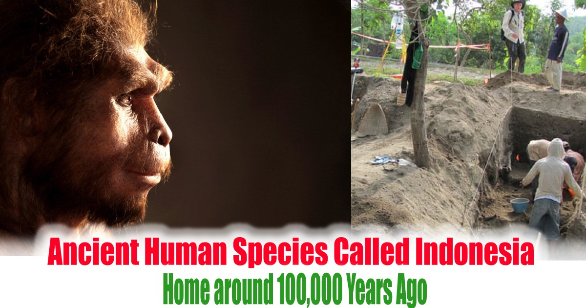 Ancient Human Species Called Indonesia Home around 100,000 Years Ago ...