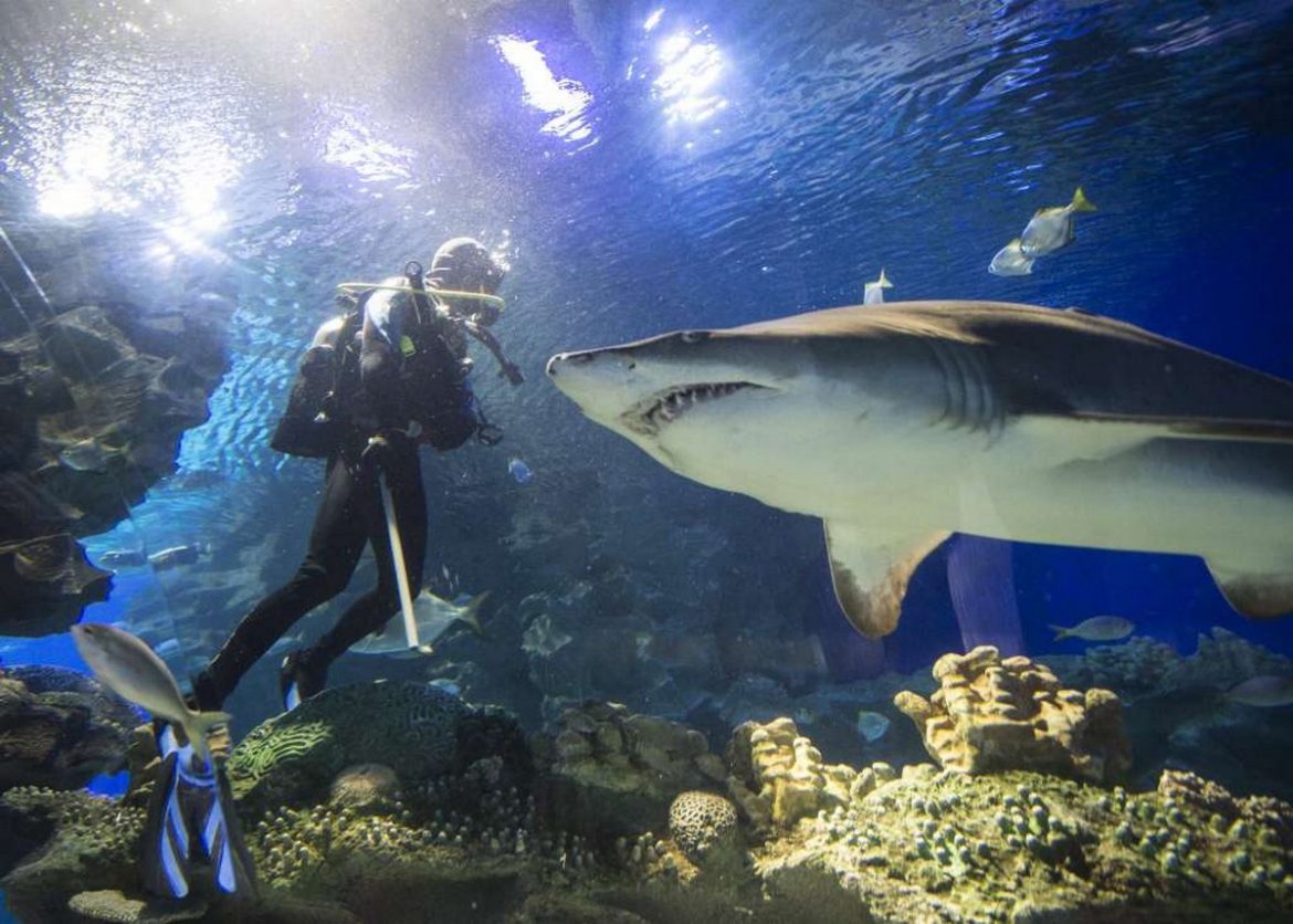 10 Dare Devil Activities Which You Should Have in your Bucket List If ...
