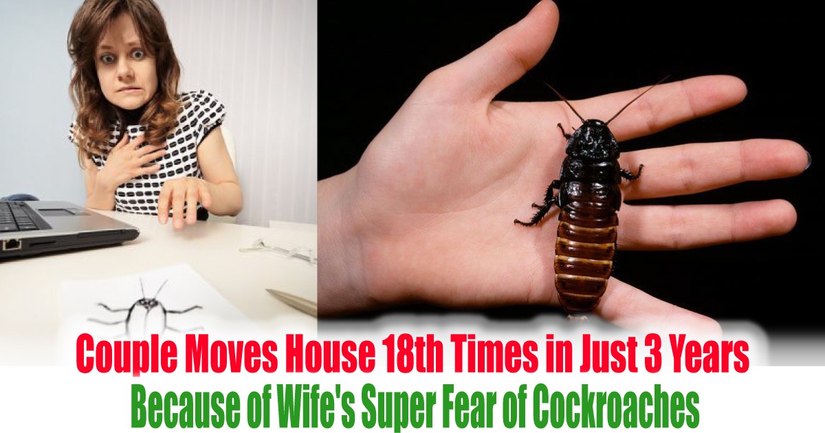 Couple Moves House 18th Times in Just 3 Years Because of Wife's Super ...