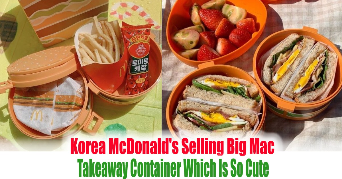 Korea McDonald's Selling Big Mac Takeaway Container Which Is So Cute ...
